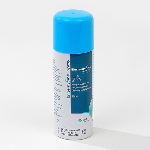 Engemycine spray